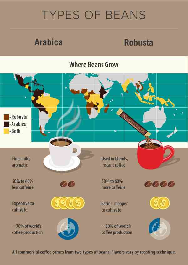 What 6 types of coffee beans can you buy today?
